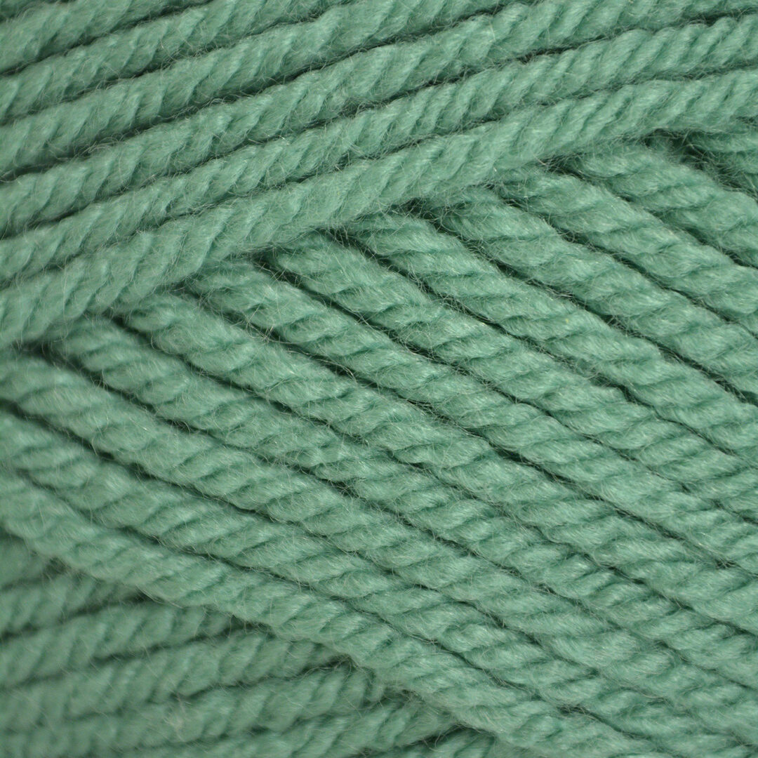 Stylecraft Special Chunky 1725 Sage - De Wolkast